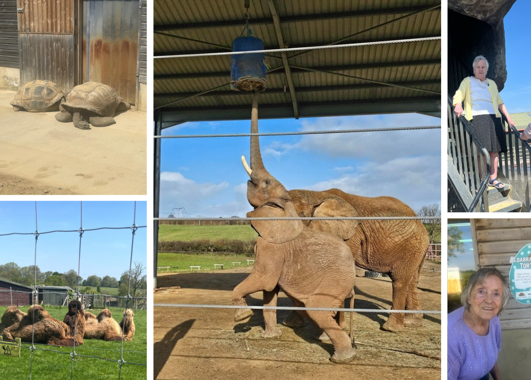 Catherine House Care Home Visit Noah’s Ark Zoo